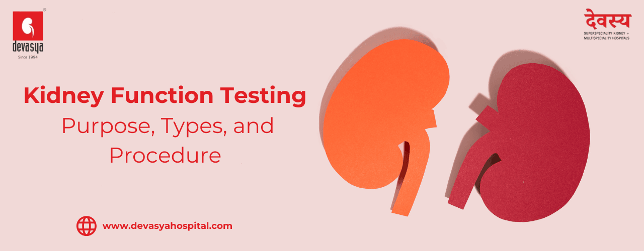 Purpose, Types, and Procedure of Kidney Function Testing | Complete Guide